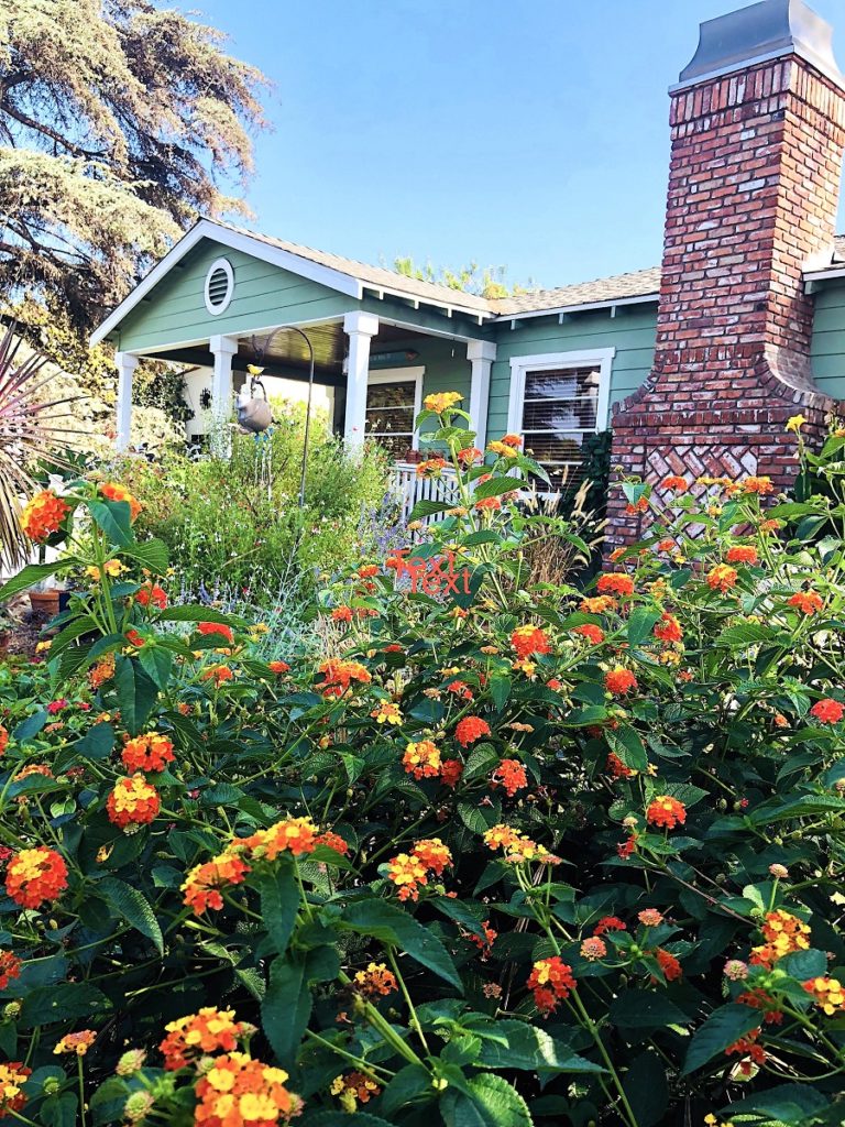 Kim’s Garden | Tustin Area Council of Fine Arts (TACFA)